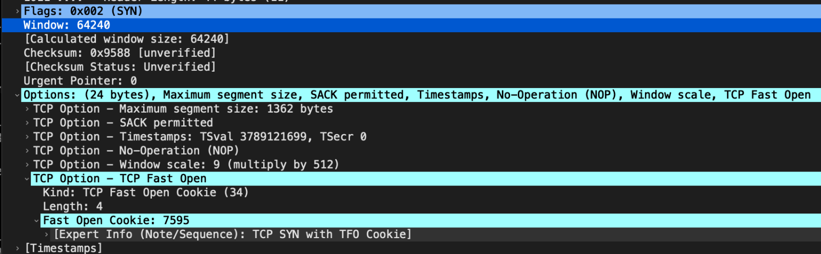 Odd TCP Fast Open Packets. Anybody understands why?